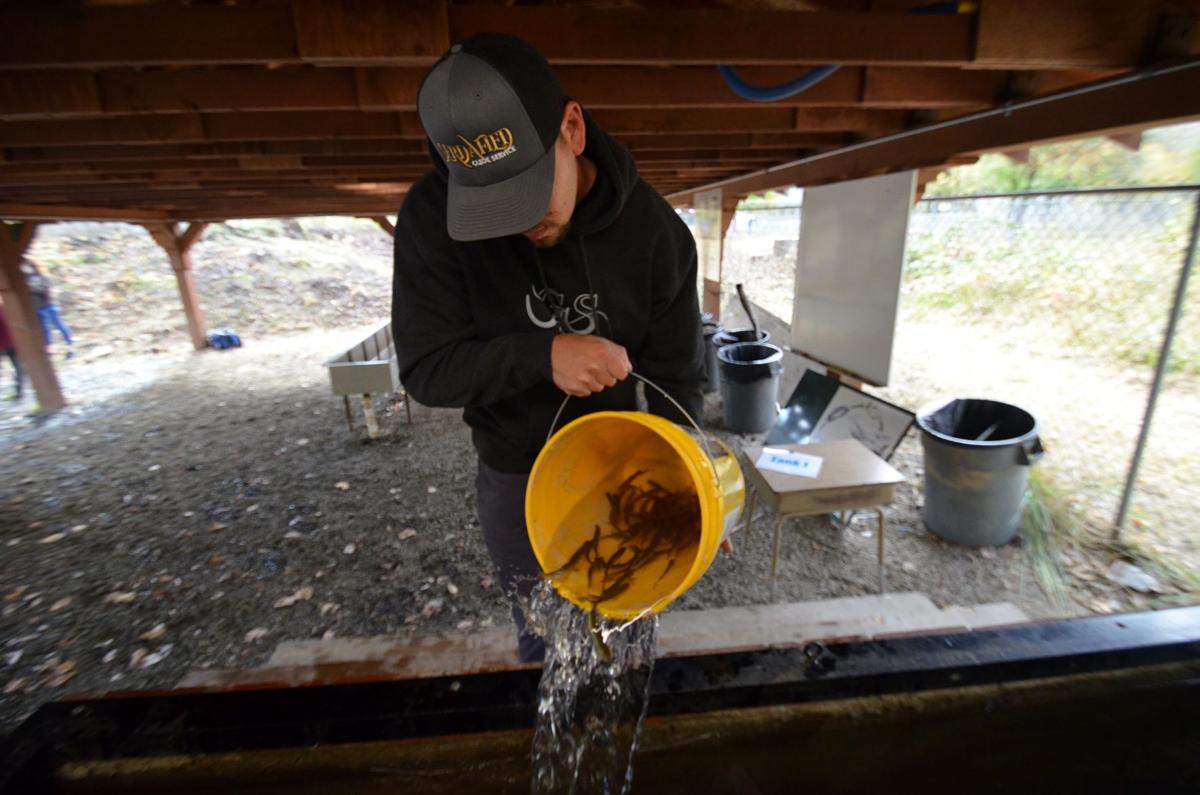 Coho evacuees take shelter at Eastwood Elementary School after Archie ...
