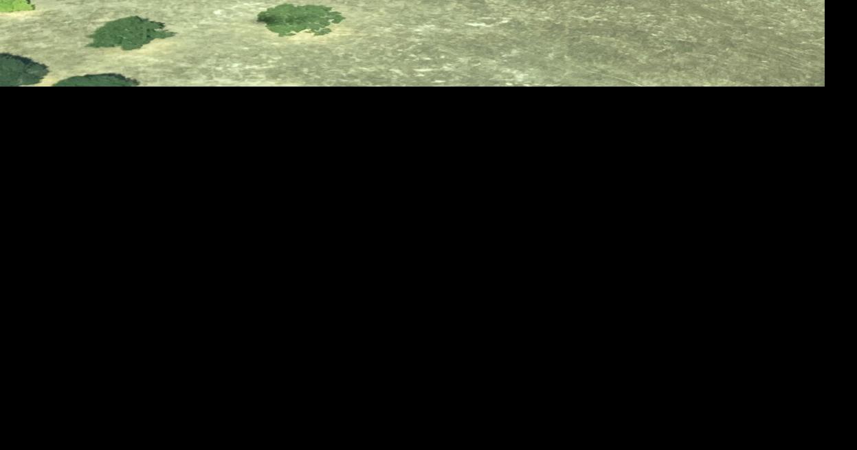 Law enforcement knocks down Milepost 119 fire | Local News | nrtoday.com