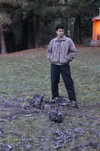 Turkey trapping | Environment | nrtoday.com