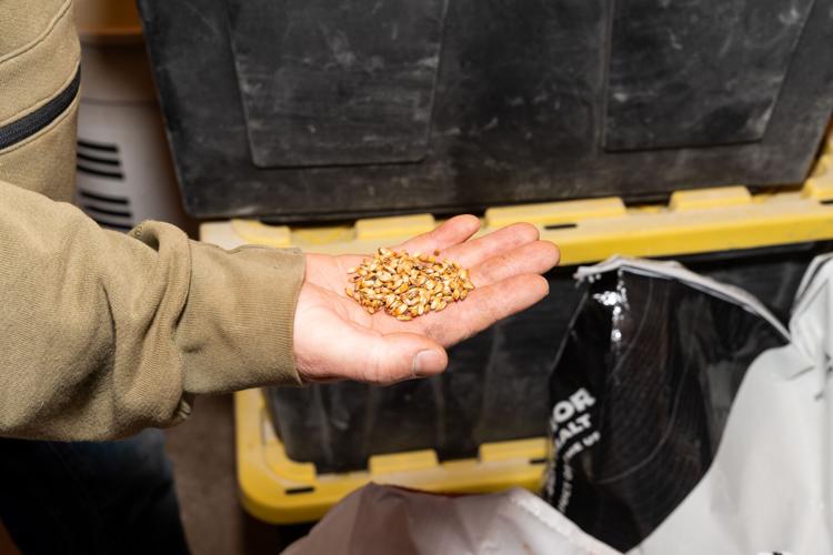 Lions and brews: Backside Brewing creates specialty beers for Wildlife ...