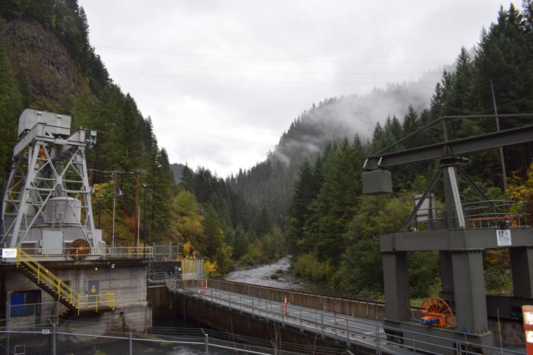 Fish passage improvements seen on hydroelectric project tour ...