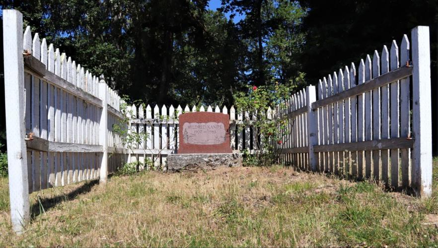 Mildred Kanipe Memorial Park Peacock Paradise | Education | nrtoday.com