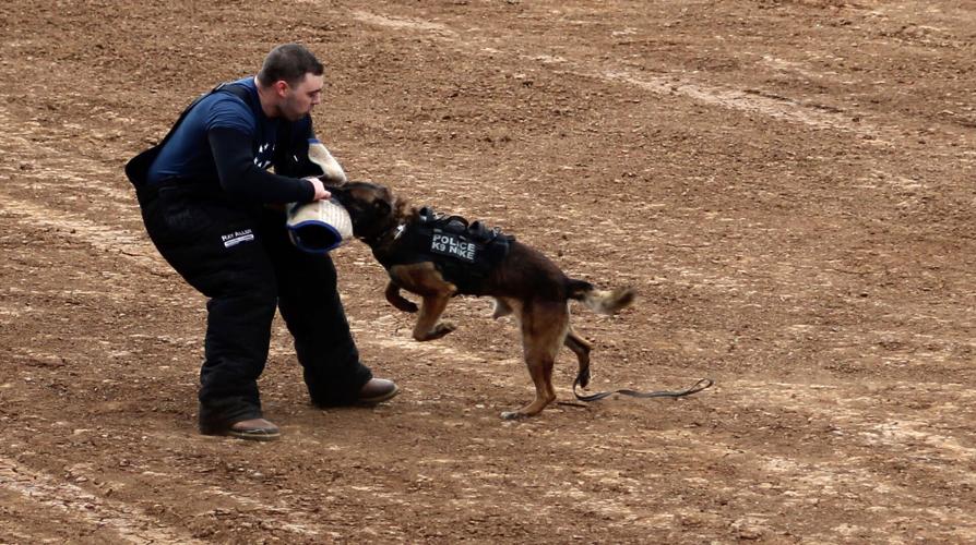 K9s unleashed at the fairgrounds | Local News | nrtoday.com