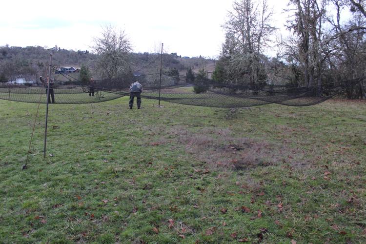 Turkey trapping | Environment | nrtoday.com