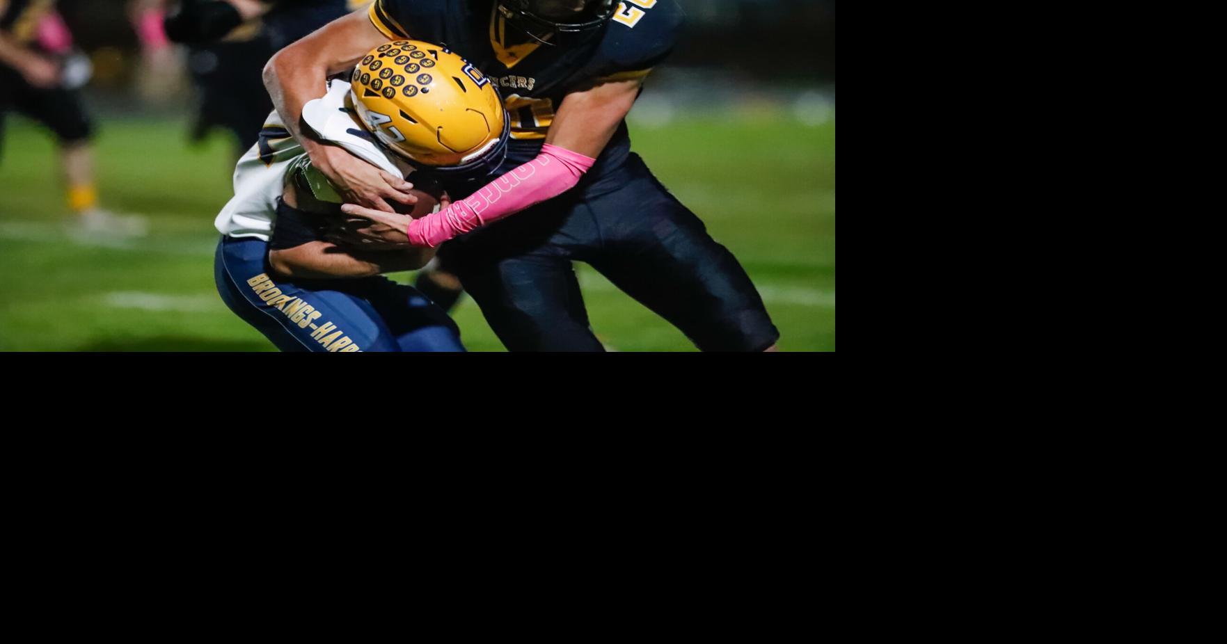 Class 3A football: South Umpqua trio, Sutherlin's Flora head All-SD4 ...