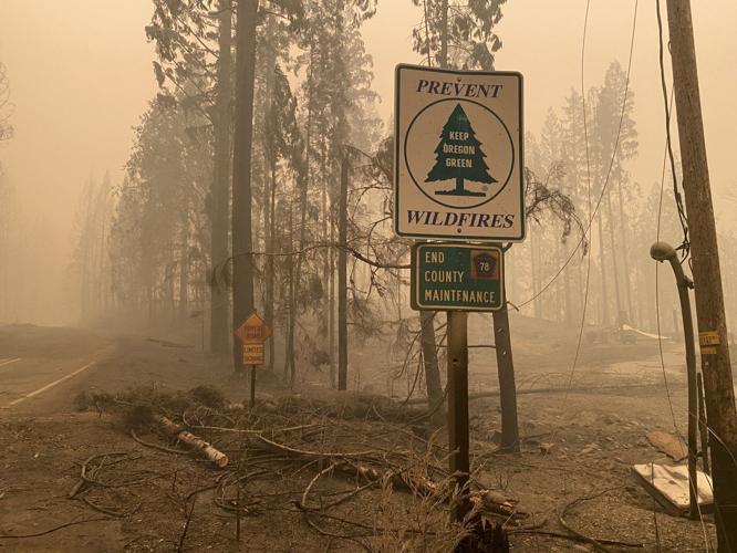 The Archie Creek Fire, a year later | Archiecreek | nrtoday.com