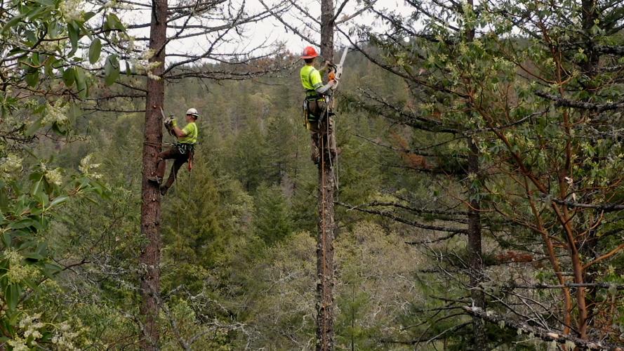 Power outages due to wildfire mitigation efforts | News | nrtoday.com
