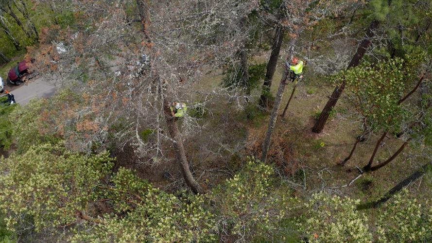 Power outages due to wildfire mitigation efforts | News | nrtoday.com