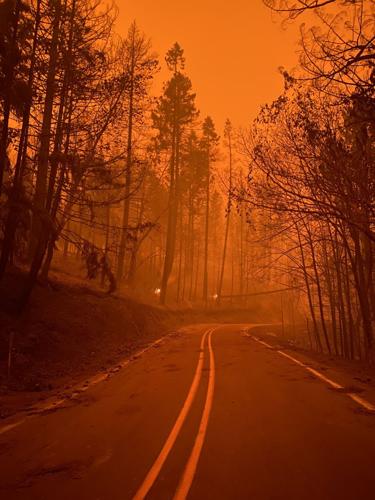 Archie Creek Fire: The fire of all fires | Archiecreek | nrtoday.com