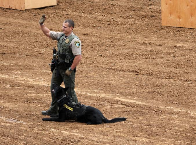 K9s unleashed at the fairgrounds | Local News | nrtoday.com