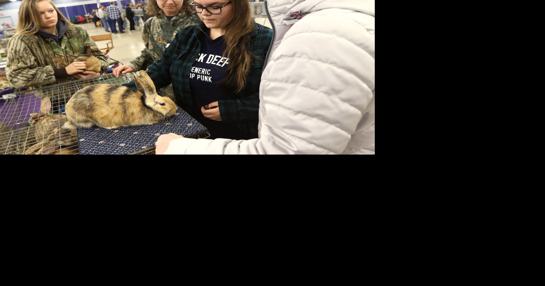 Oregon State Convention shows rabbits and cavies at the Douglas County ...