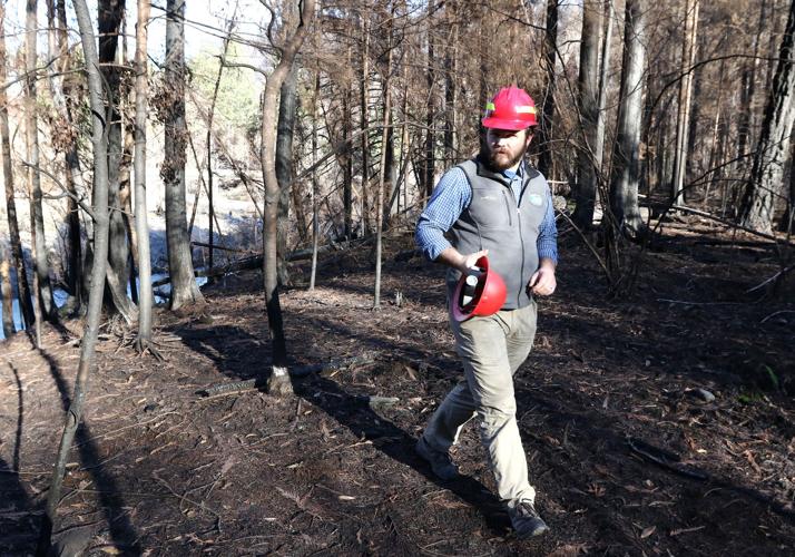 Report lays out potential soil erosion threats from Archie Creek Fire ...