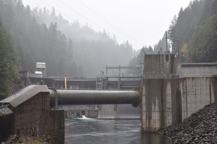 Fish passage improvements seen on hydroelectric project tour ...