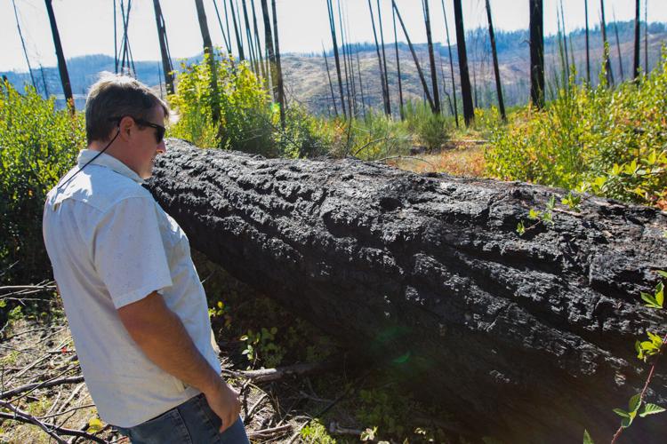 PacifiCorp settles with 10 timber companies | Archiecreek | nrtoday.com