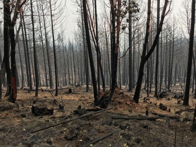 Snow Shoe Fire contained, firefighters continue to battle Miles ...