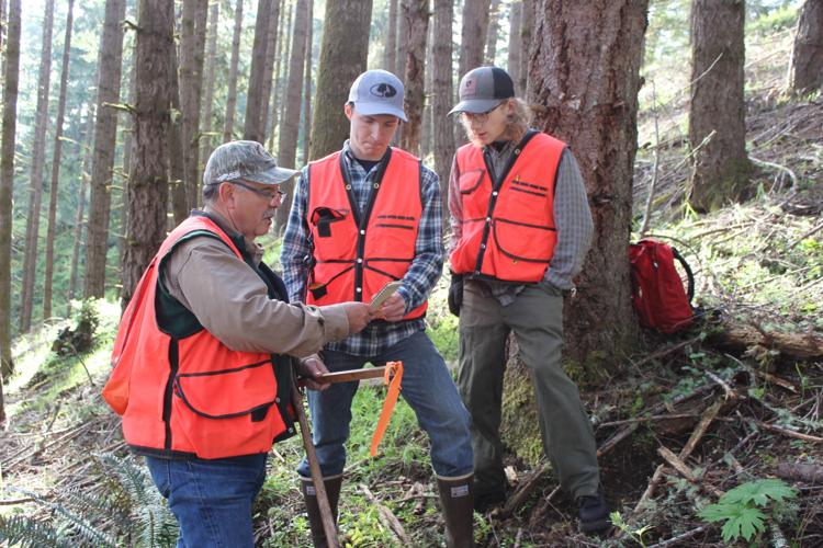 Taking a cruise through timber | News | nrtoday.com