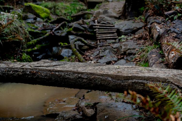 Our People — Sutherlin man runs the 'Disneyland of RC cars' | News ...