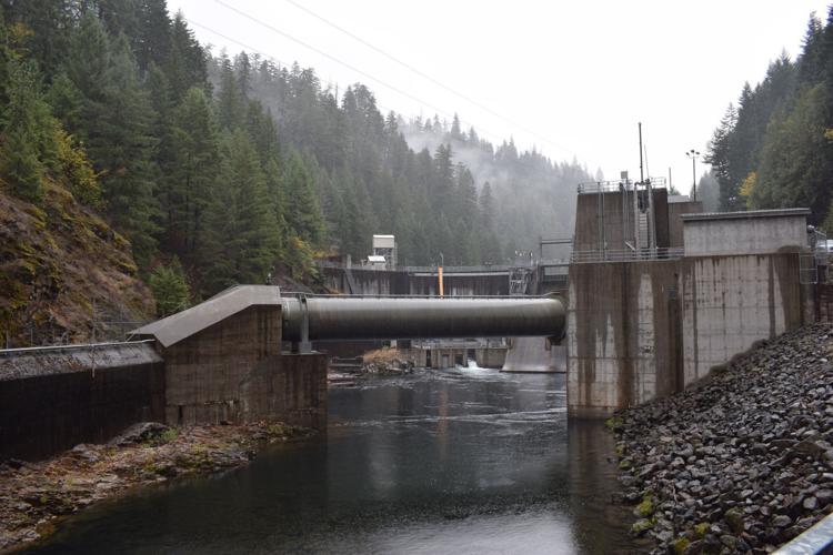 Fish passage improvements seen on hydroelectric project tour ...