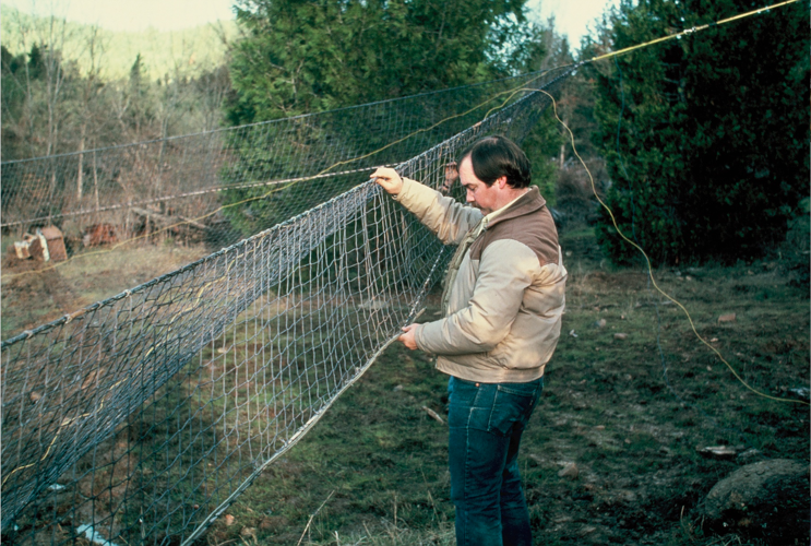 Denney awarded for wildlife conservation efforts | Environment ...