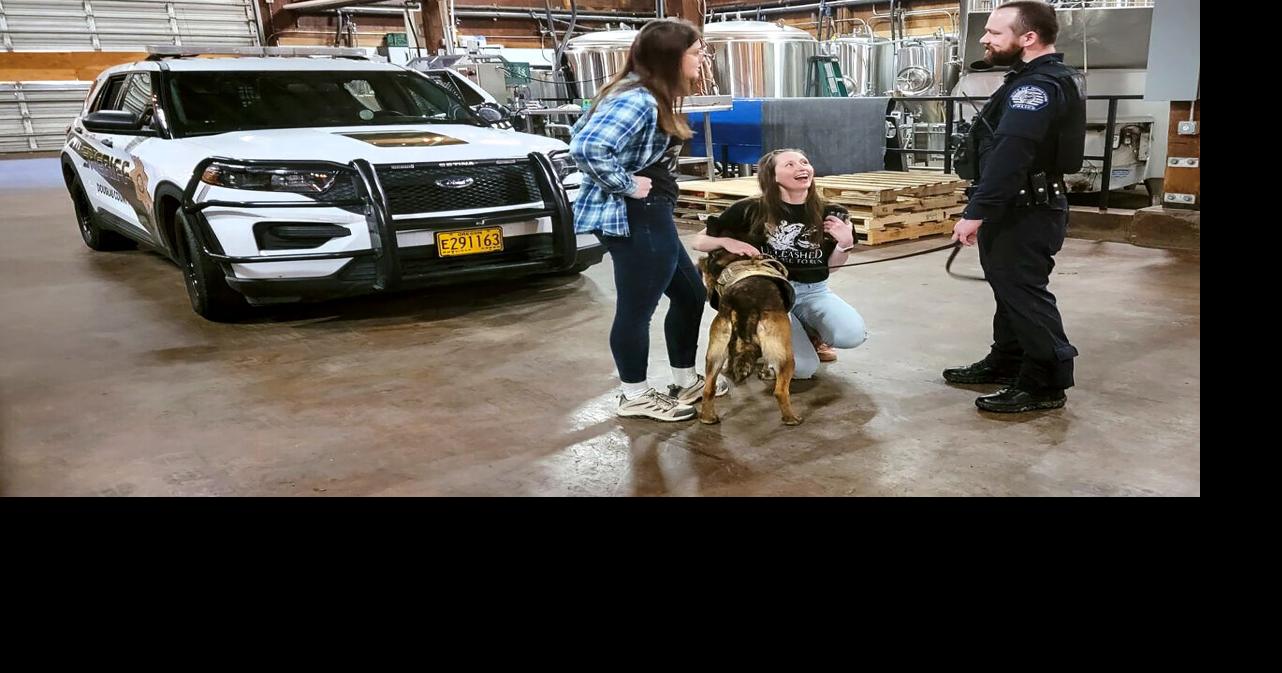 Public gets to know local K-9s at fundraising event | News | nrtoday.com