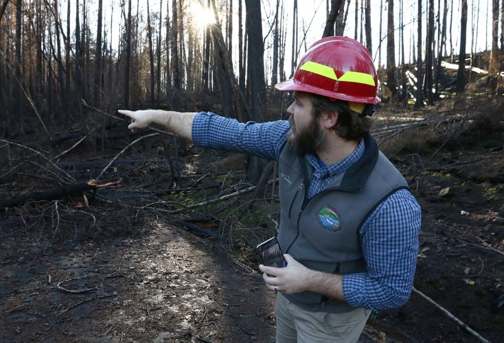 Report lays out potential soil erosion threats from Archie Creek Fire ...