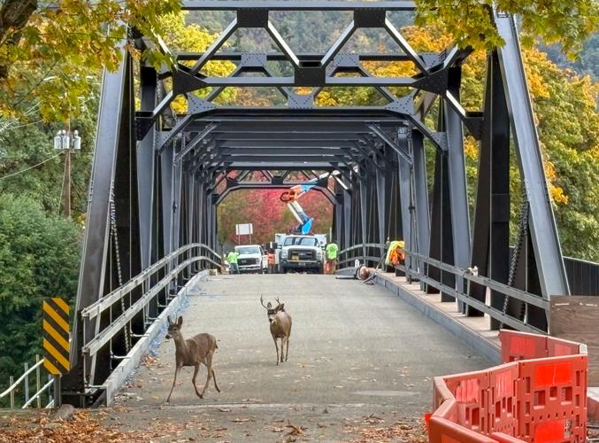 Stewart Park Drive Bridge reopens after rehabilitation project ...