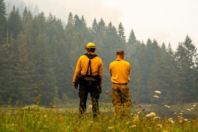 2023 top stories: No. 1 Tyee Ridge Fire | Local News | nrtoday.com
