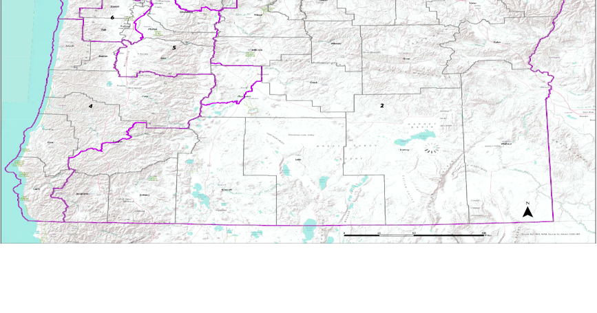 Who represents you now: Newly approved political map has shifted state ...