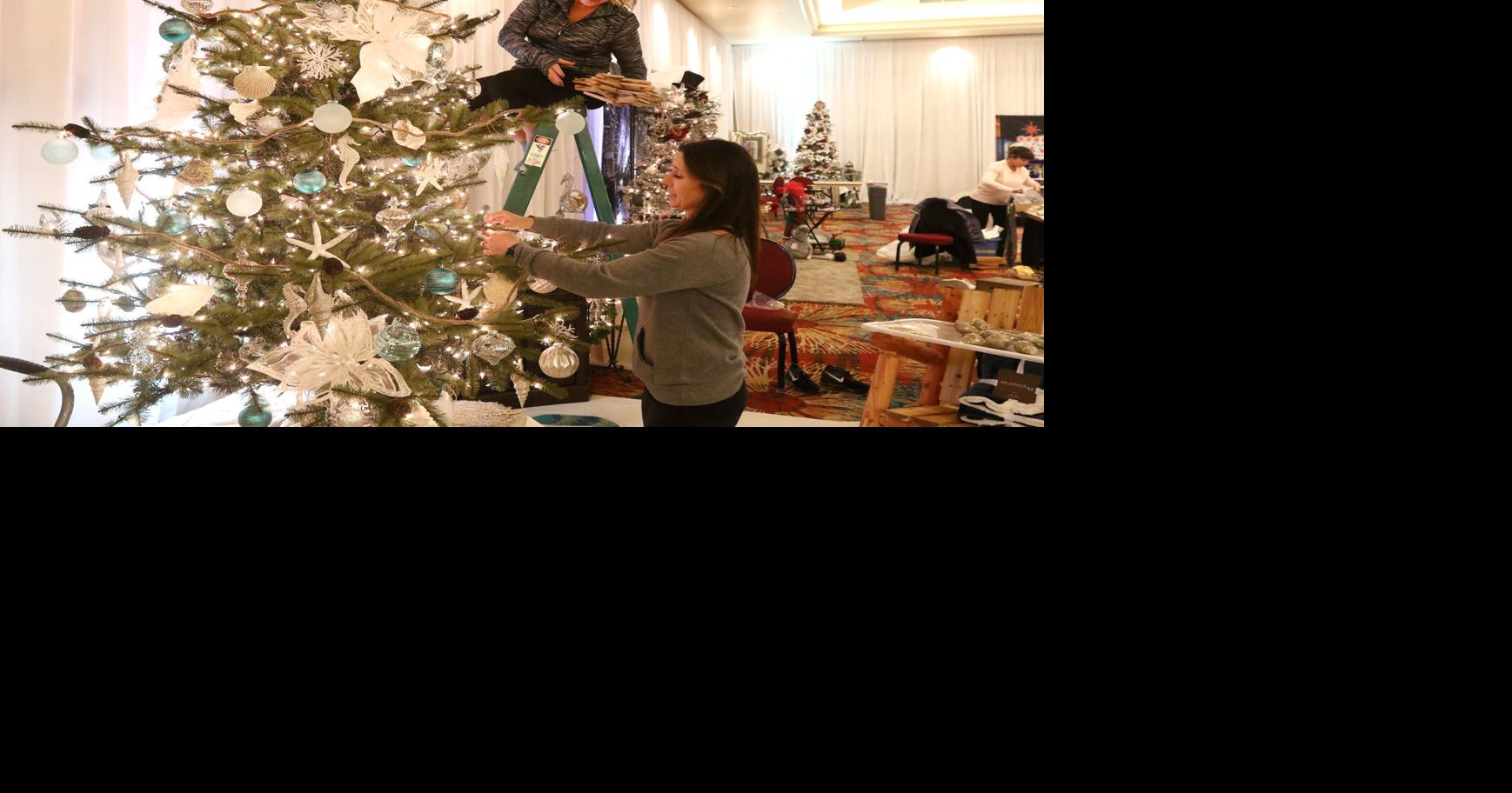 Mercy Foundation Festival of Trees celebrates 25 years | Local News ...