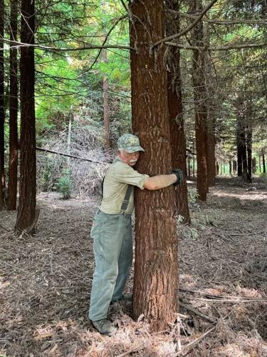 Growing coast redwoods in Umpqua earns the Hubers Tree Farmer of the ...