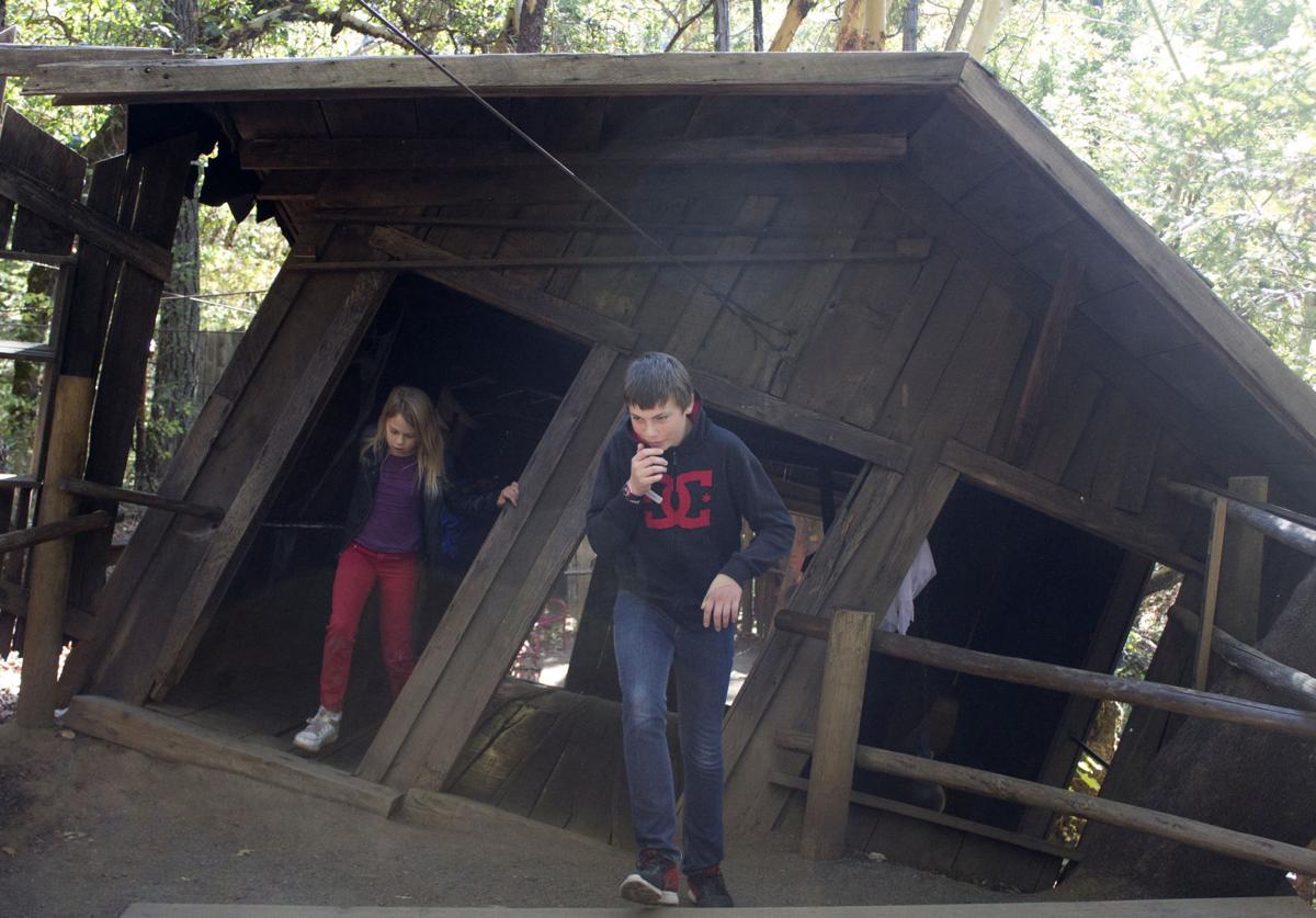 Explore Oregon: Mystery at the Oregon Vortex | Outdoors | nrtoday.com