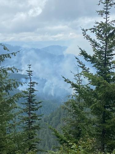 Community meeting planned for fires in Umpqua National Forest | Local ...