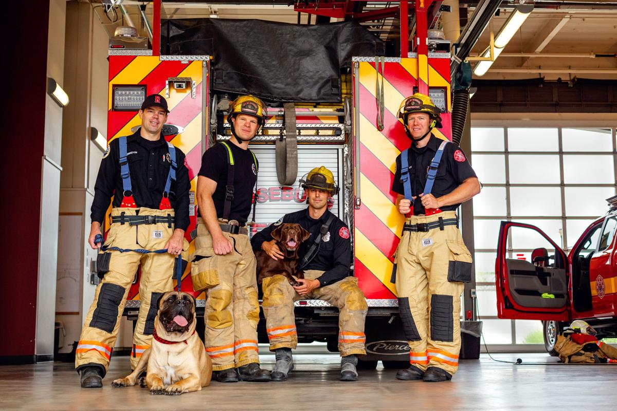 Tough firefighters, cuddly pets team up for calendar to help cancer ...