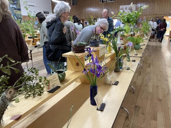Local wildflower show delights | Life | nrtoday.com