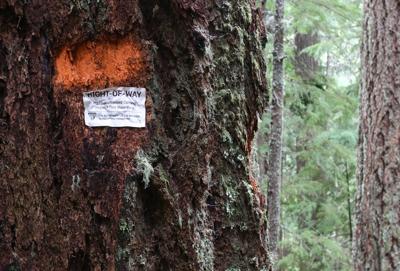 Lone Rock requests extra police presence in wake of threats ...