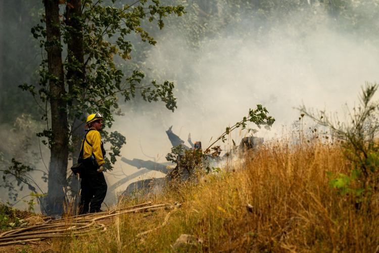 Afternoon on the fire line: A closer look at the Tyee Ridge Complex ...