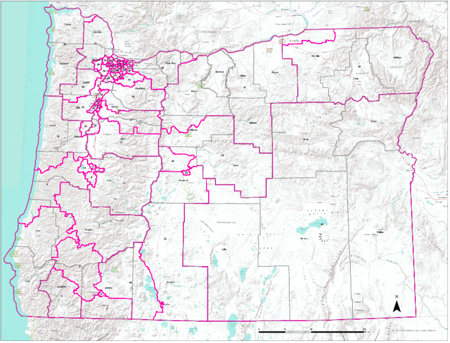 Who represents you now: Newly approved political map has shifted state ...