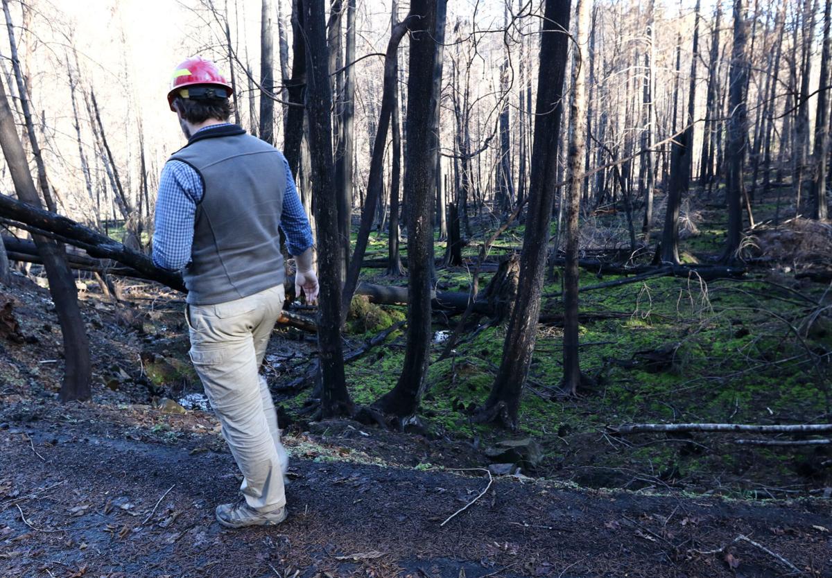 Report lays out potential soil erosion threats from Archie Creek Fire ...