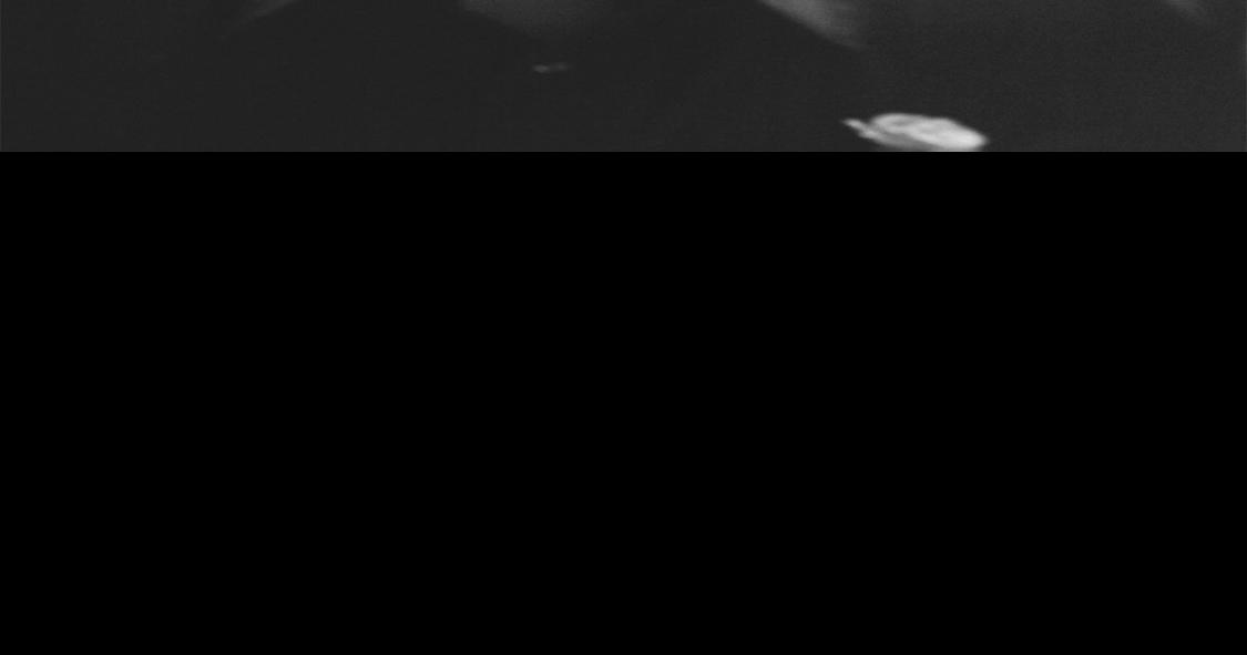 Thomas Jerdan Kelly III | Obits | nrtoday.com