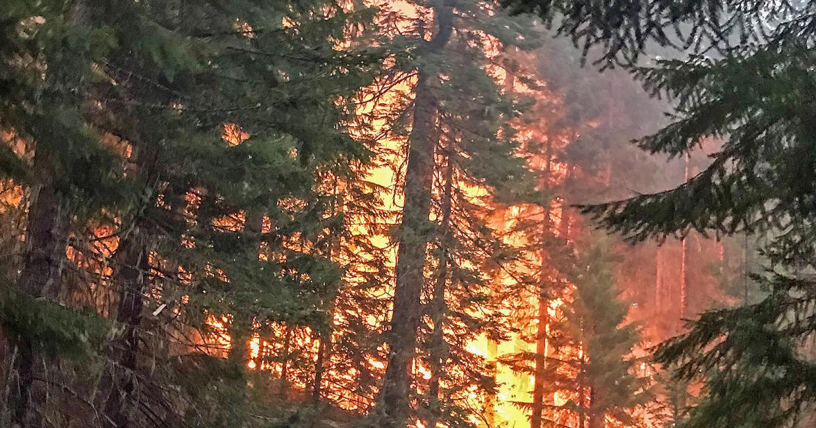 Archie Creek Fire up to 15% containment, National Guard reinforcements ...