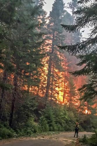 Archie Creek Fire up to 15% containment, National Guard reinforcements ...