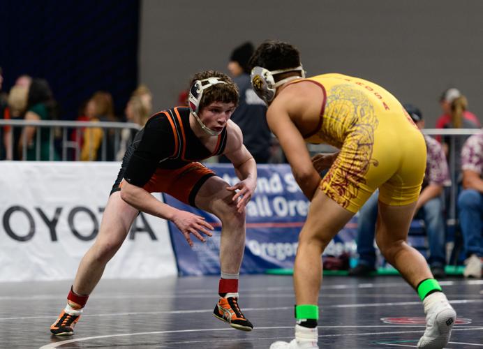State wrestling: Roseburg's Dawson brothers settle for second in 6A ...