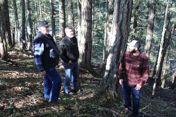 Ragon family dedicates three generations to forestry | News | nrtoday.com