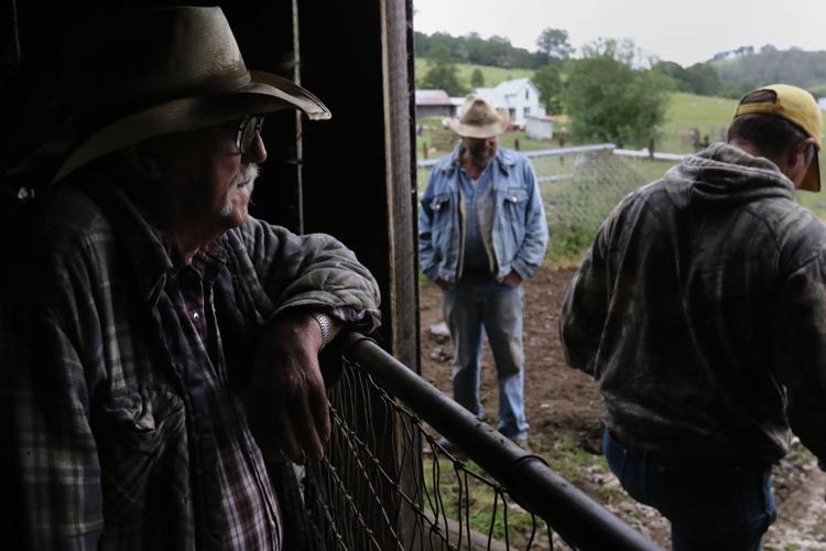 Father's Day is a normal day on the Singleton Ranch | Family | nrtoday.com