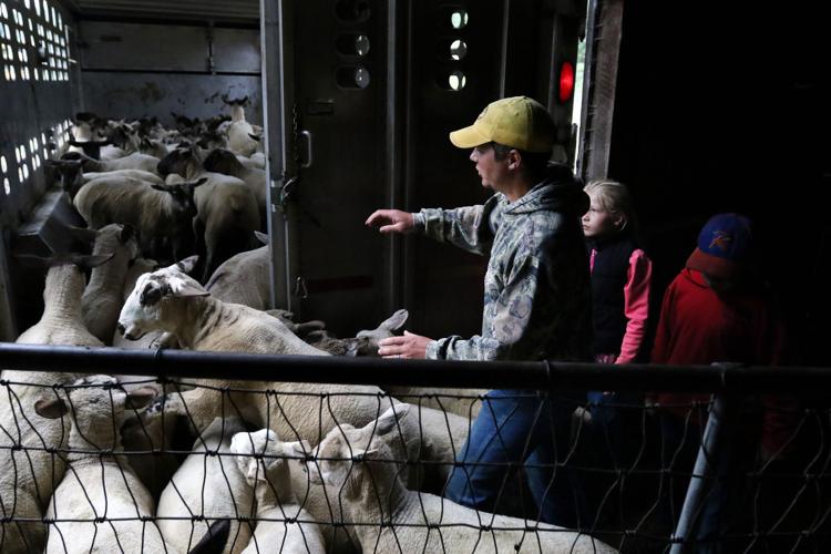 Father's Day is a normal day on the Singleton Ranch | Family | nrtoday.com