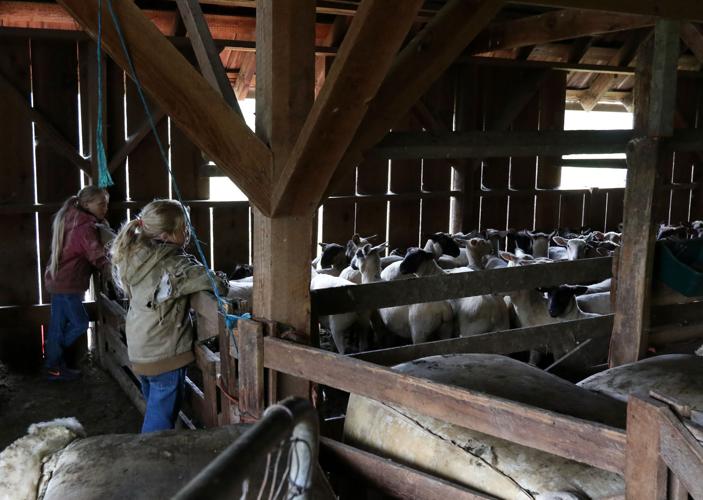 Father's Day is a normal day on the Singleton Ranch | Family | nrtoday.com