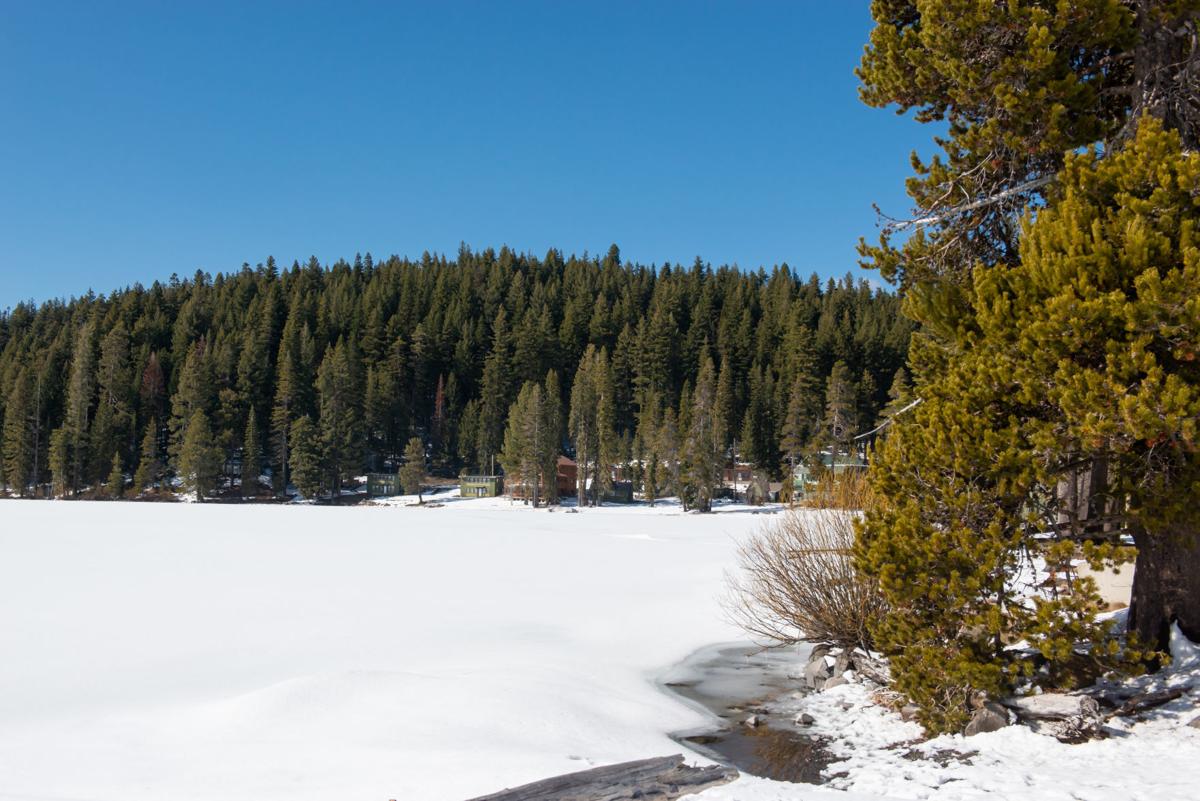 Diamond Lake and the High Cascades feature beauty, wildlife and fishing ...