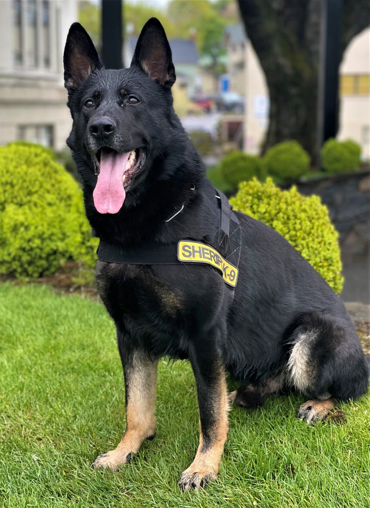 Fugitive found in trunk of car | Court | nrtoday.com