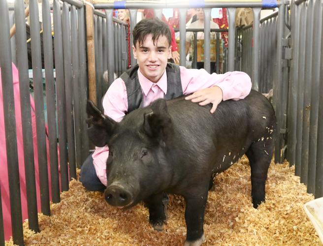 Teenagers showcase their pigs at the Douglas County Fair | News ...