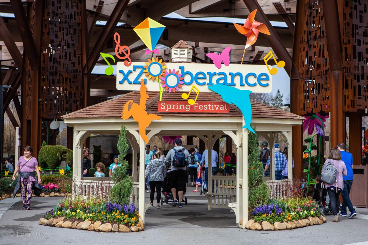 Slideshow: XZooberance Spring Festival at the Indianapolis Zoo ...